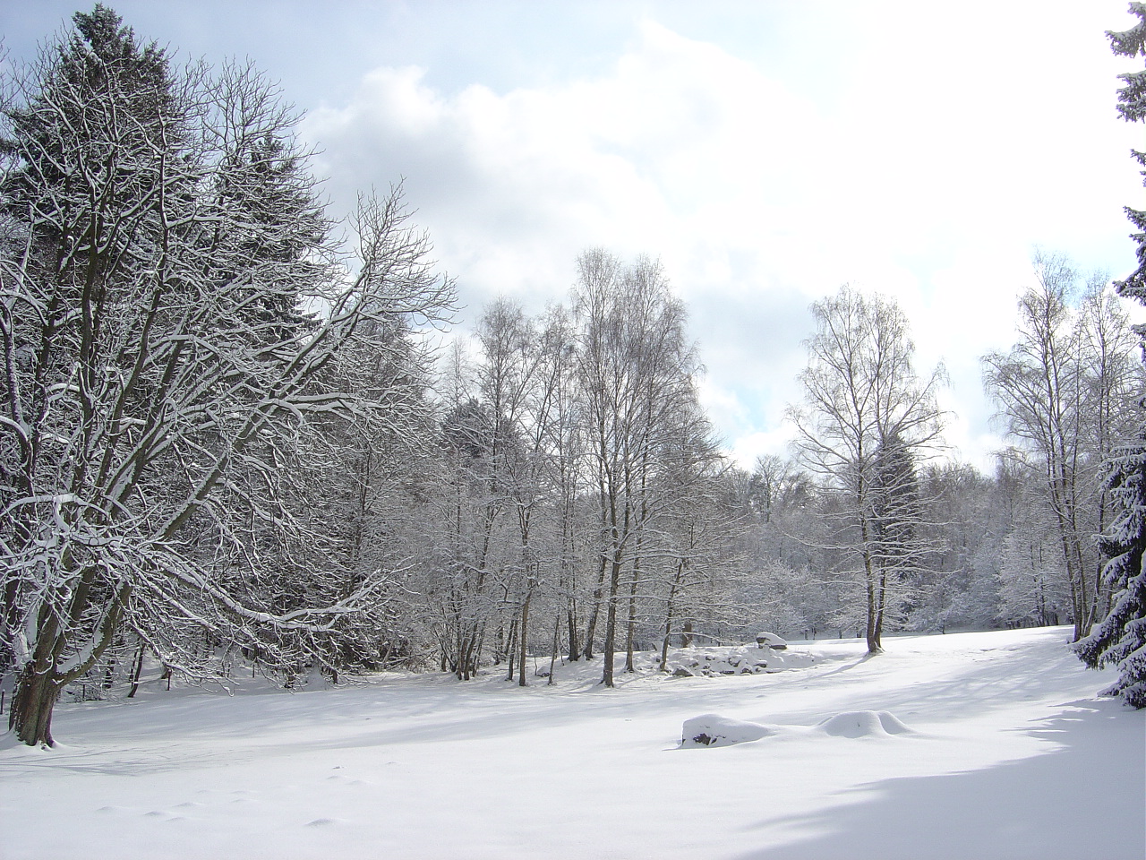 Le Domaine se refait une beauté cet hiver ! - Domaine de Mambaye ...